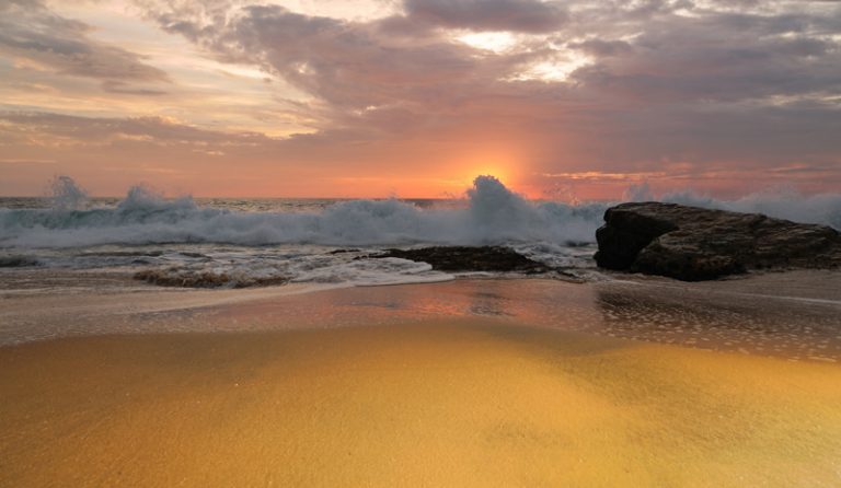 Five of the Best Beaches in Kerala