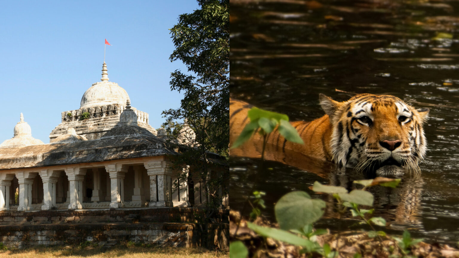 India’s Sacred Temples: Where Spirit Meets Stone ⋆ Greaves India